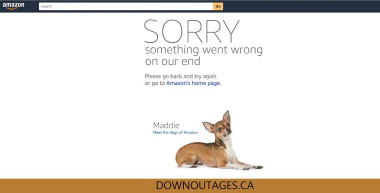 Amazon Down or Service Outage? Check Current outages and problems ...