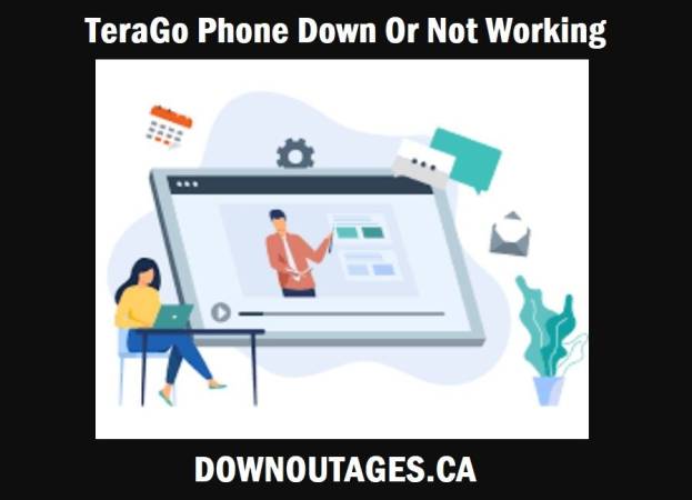 TeraGo Outages or Service Down? Check Current outages and problems ...